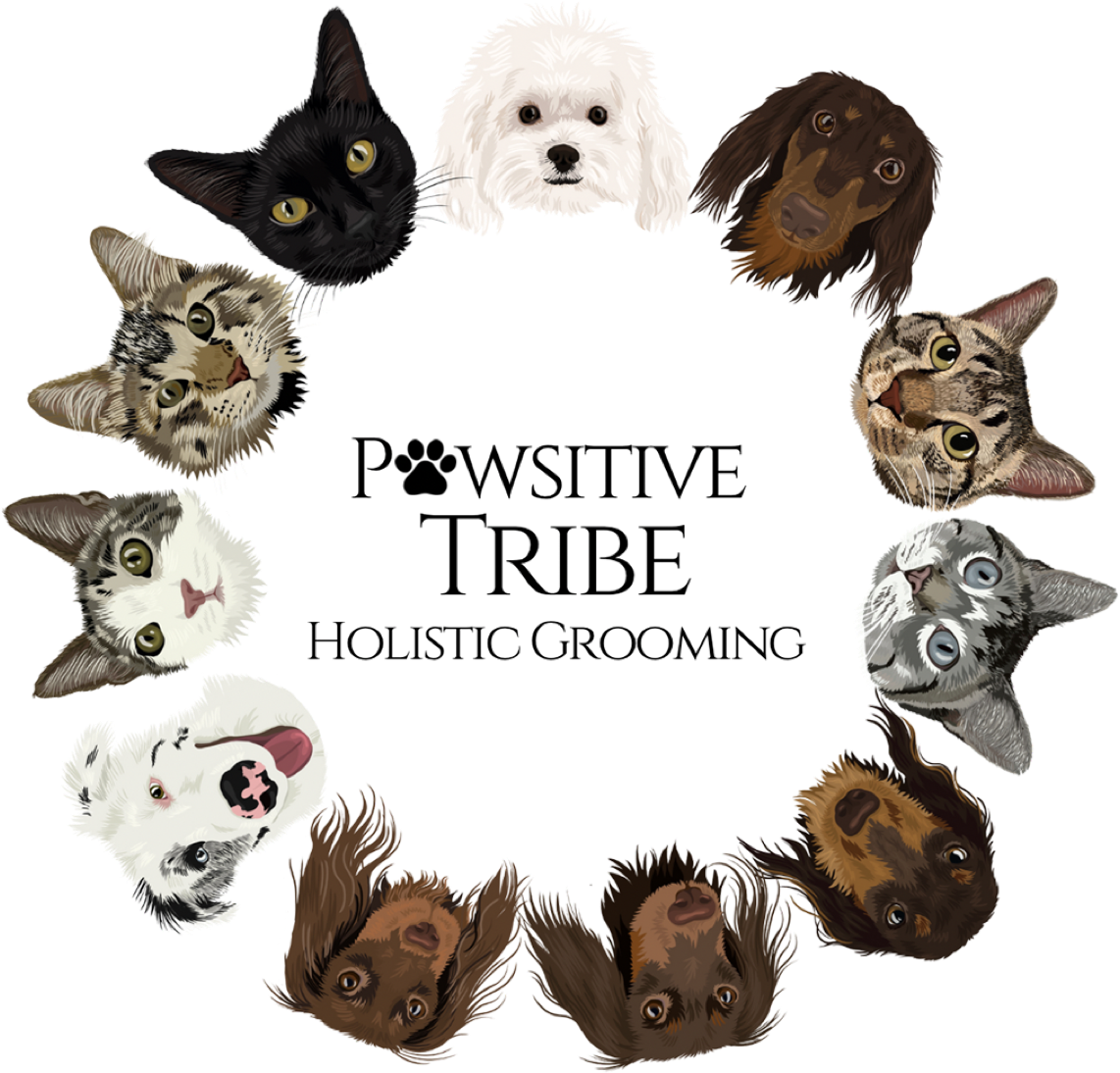 Pet Grooming - Pawsitive Tribe
